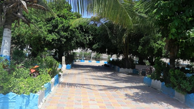 Somalia, Africa, The Grove Of Tre. Free Stock Video - Pixabay
