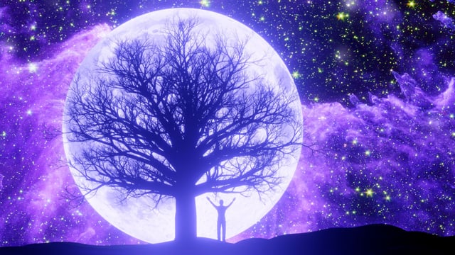 Man, Moon, Full Mon. Free Stock Video - Pixabay