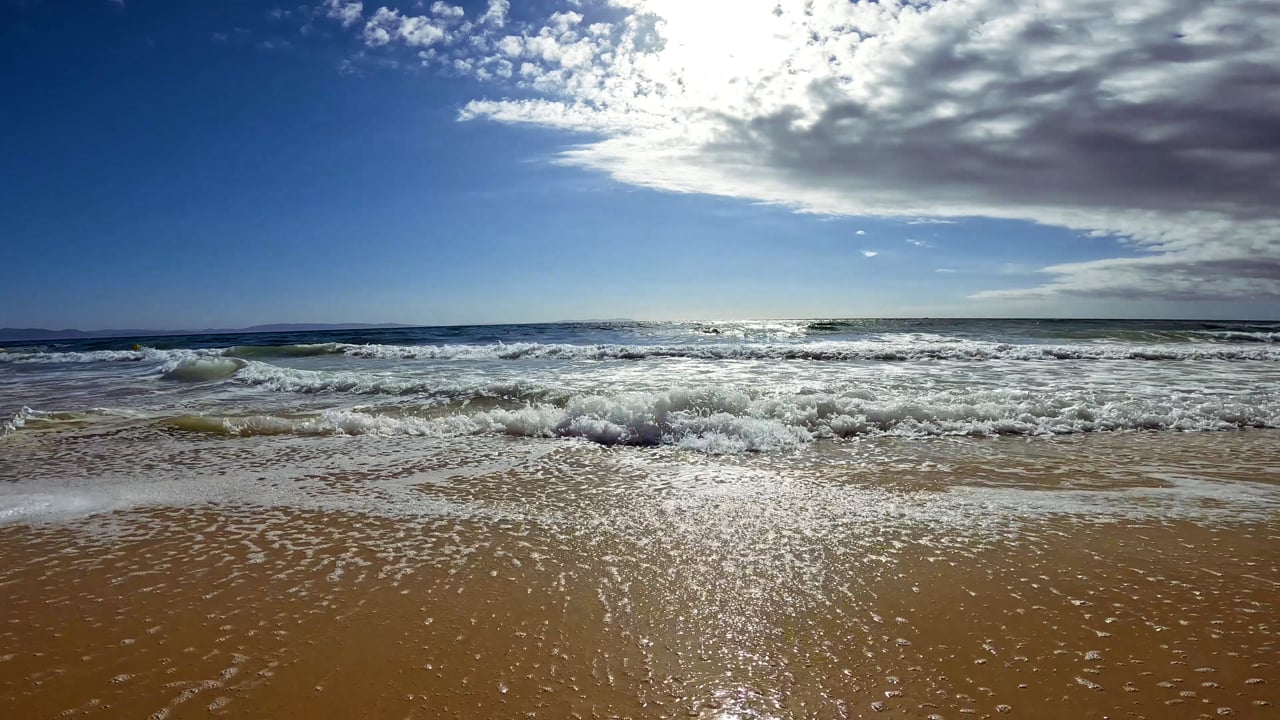 Playa Mar Oceano El - Free video on Pixabay