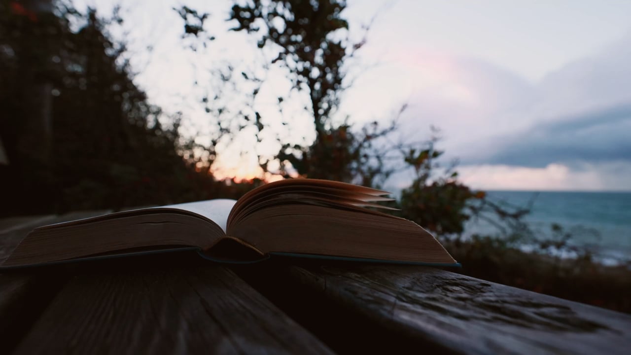 Book, Reading, Literature. Free Stock Video - Pixabay