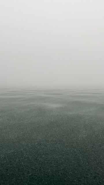 Rain, The Fog, Nature. Free Stock Video - Pixabay