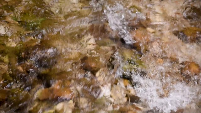 River, Stream, Water. Free Stock Video - Pixabay
