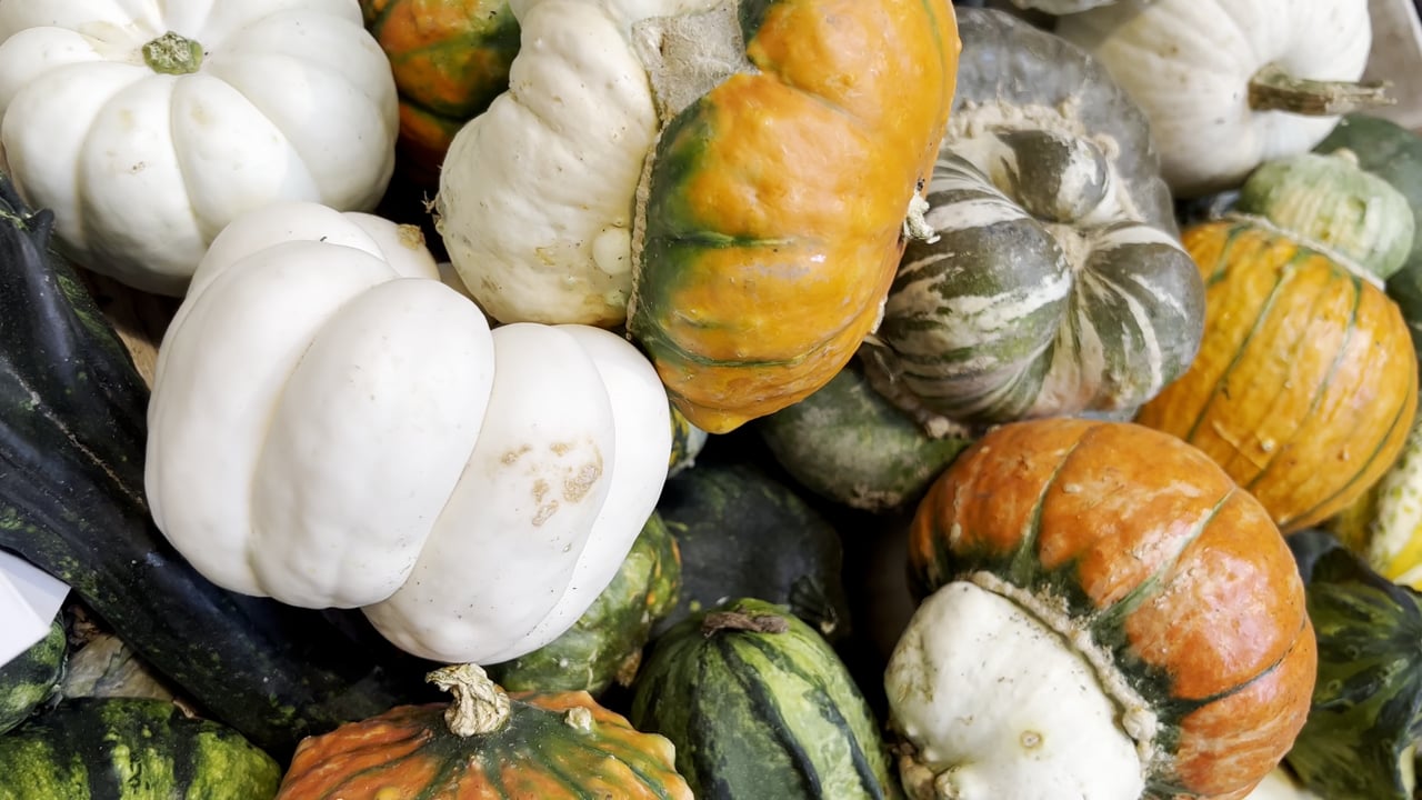 Calabaza Fruta Vegetal Víspera De - Free video on Pixabay