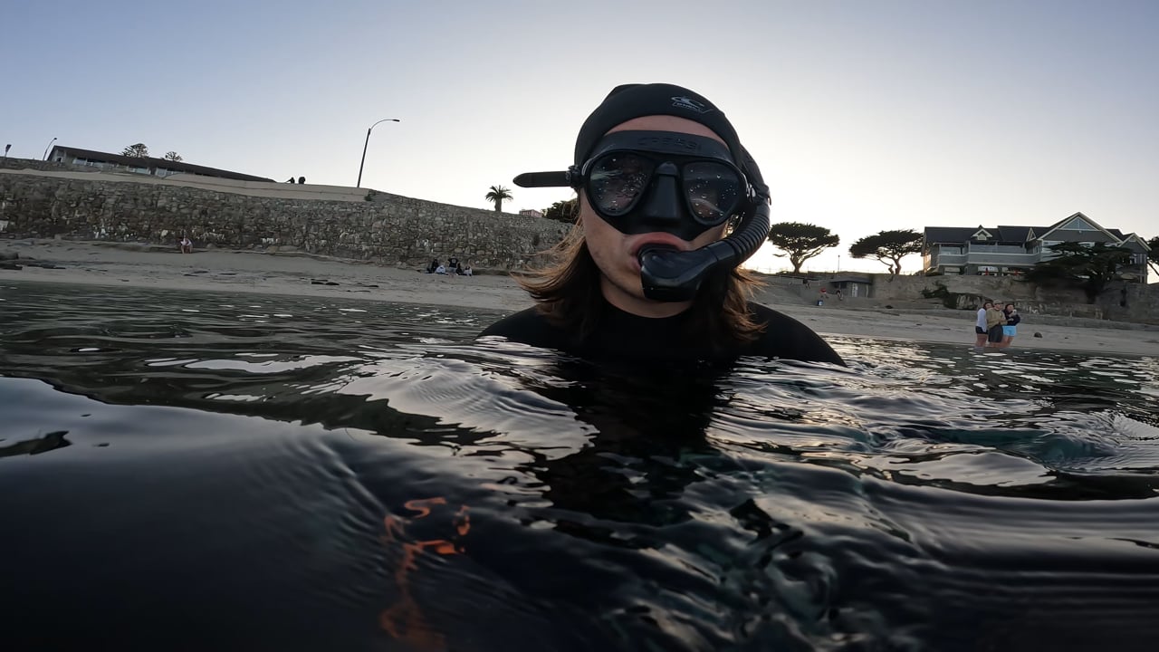 Snorkeling, Lovers Point, Montery. Free Stock Video - Pixabay