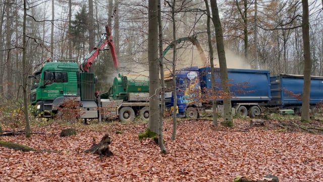 Forest Work, Forest, Wood. Free Stock Video - Pixabay