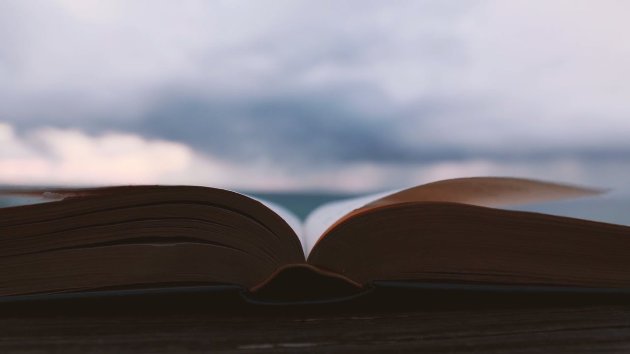 Poetry Videos: Download 32+ Free 4K & HD Stock Footage Clips - Pixabay