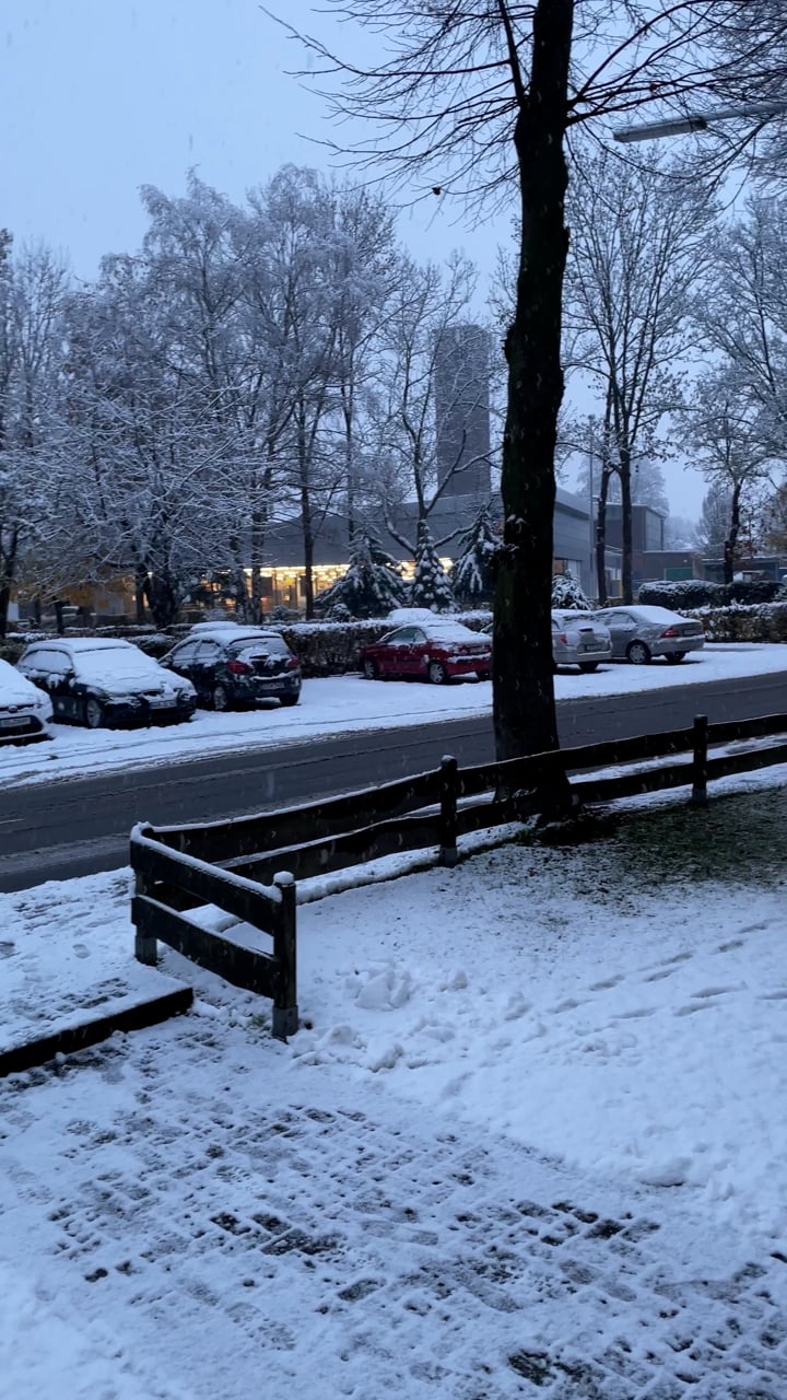 Snow, Snowfall, Winter. Free Stock Video - Pixabay