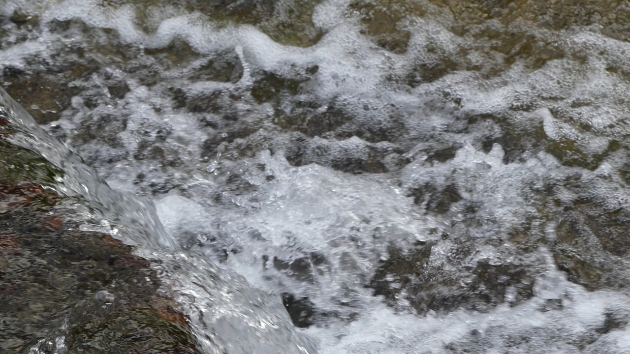 笑脸 Videos: Download 4+ Free 4K & HD Stock Footage Clips - Pixabay