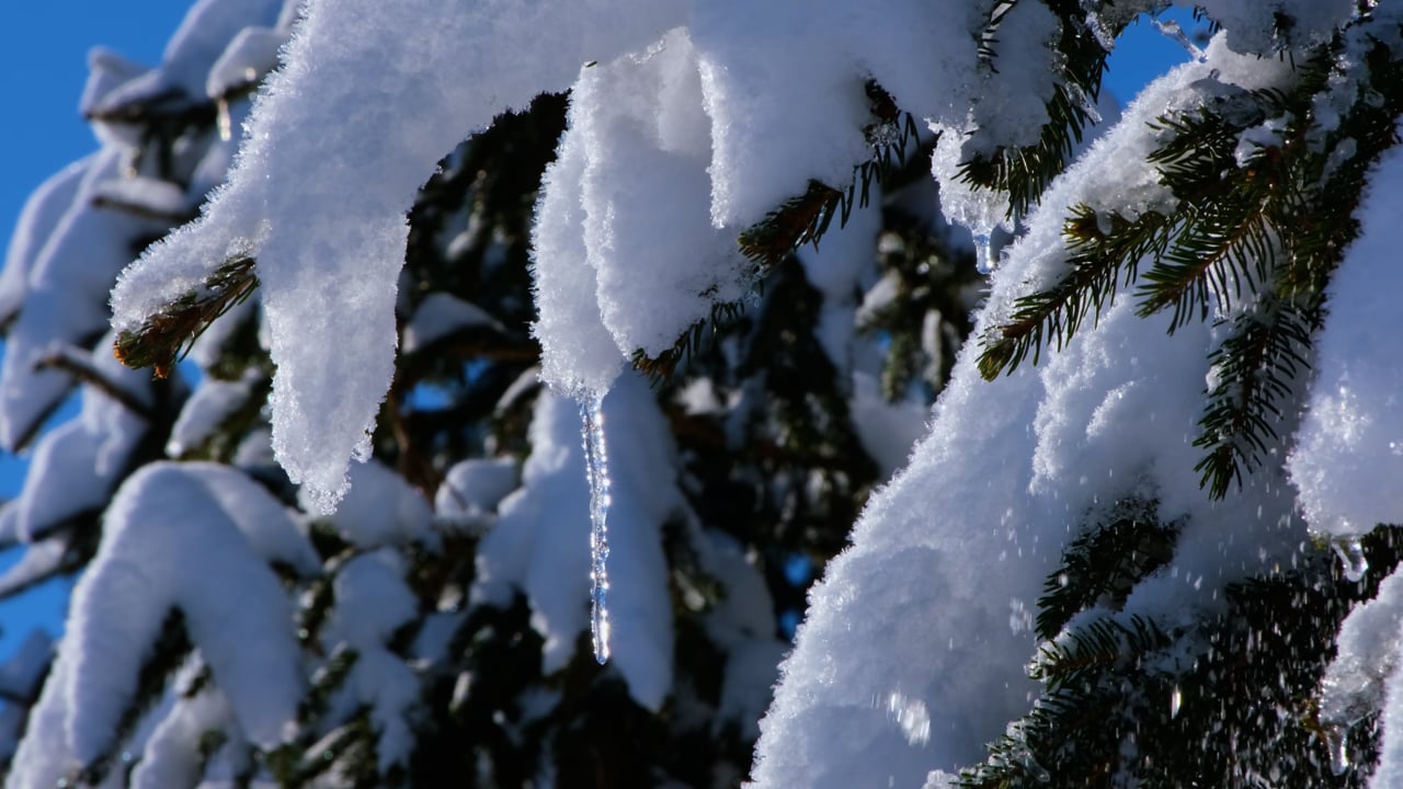 Winter, Icicle, Snow. Free Stock Video - Pixabay