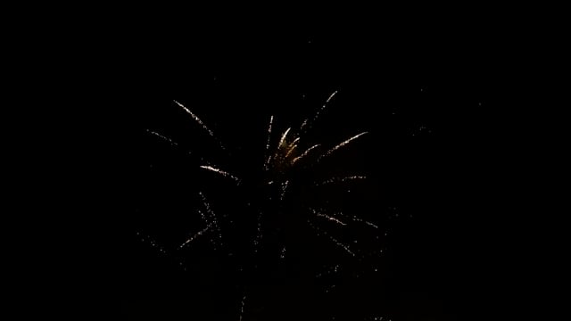 Firecracker, Fireworks, Night Sky. Free Stock Video - Pixabay Firecracker, Fireworks, Night Sky. Free Stock Video - Pixabay