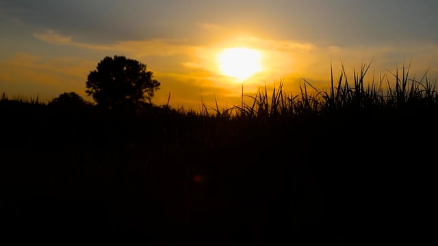 Shake Effect Videos: Download 3,359+ Free 4K & HD Stock Footage Clips ...