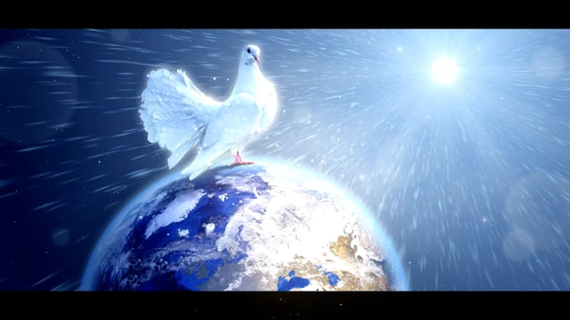 Peace, Dove, Dove Of Peace. Free Stock Video - Pixabay