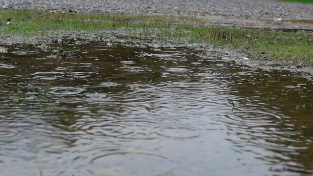 Rain, Drops, Pond. Free Stock Video - Pixabay