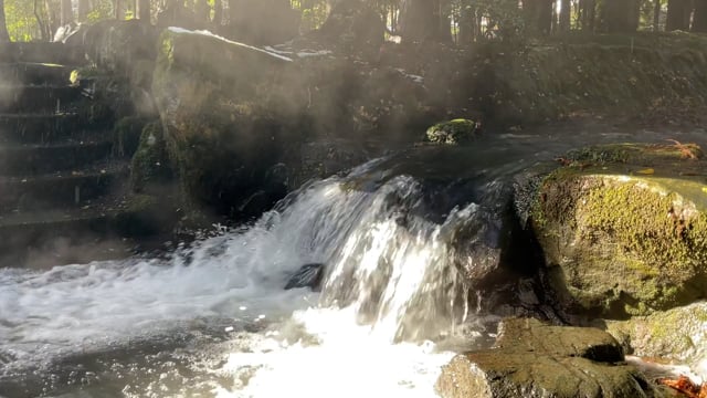 Stream, Flow, River. Free Stock Video - Pixabay