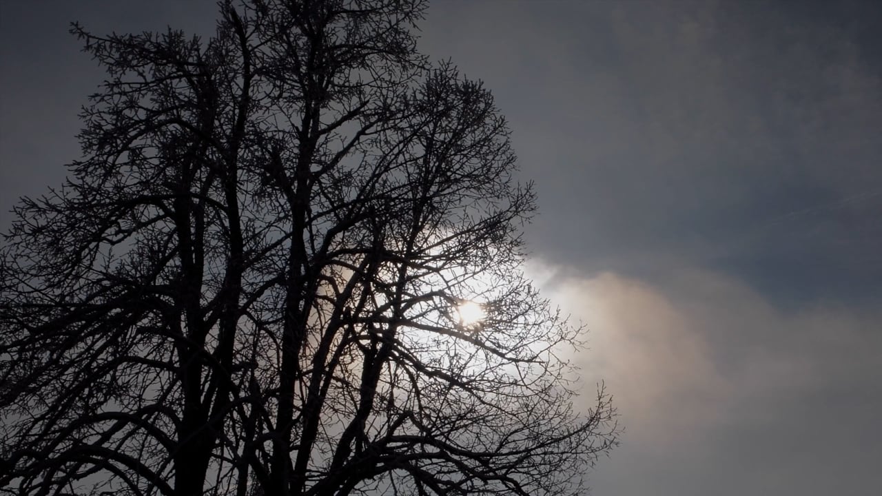 Foggy Background Videos: Download 12,186+ Free 4K & HD Stock Footage ...