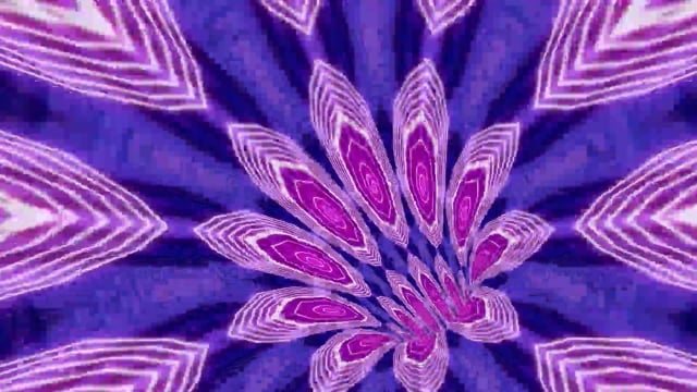 Flower Tunnel Vj Free Stock Video Pixabay