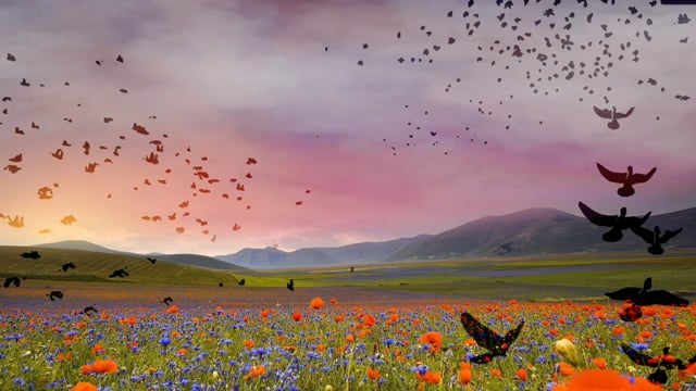 Animated Flock Of Birds In Flight A Flock Of Cranes Is Flying In The