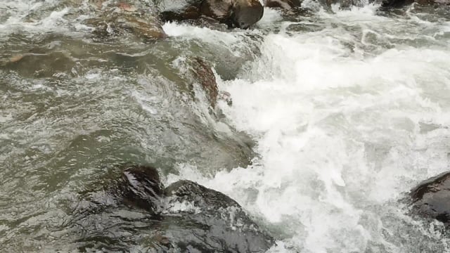 Water, Natural, Scenery. Free Stock Video - Pixabay