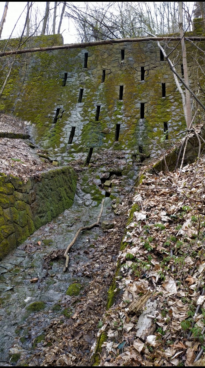 River, Forest, Stone Wall. Free Stock Video - Pixabay