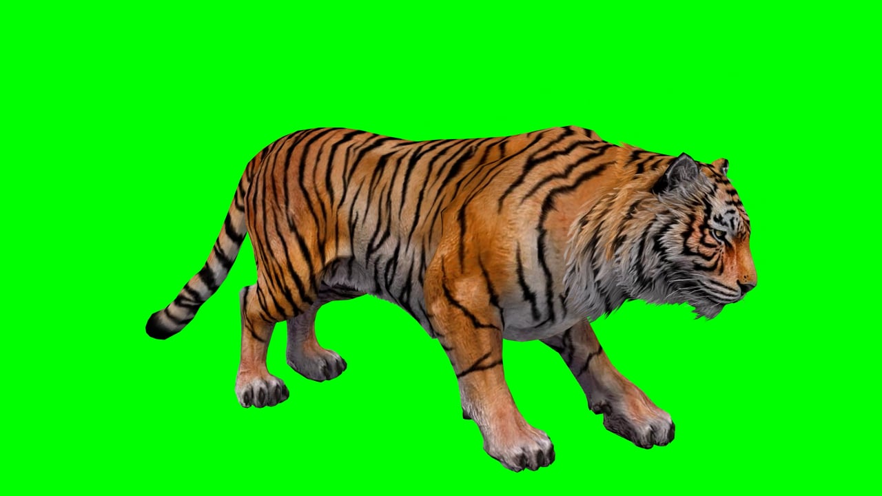 Billboard Green Screen Videos: Download 6,810+ Free 4K & HD Stock Footage Clips - Pixabay