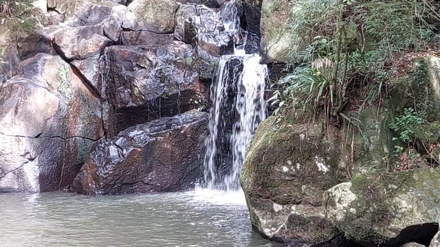 Waterfall, River, Water. Free Stock Video - Pixabay