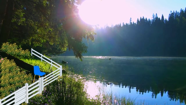 Lakeside, Lake, Nature. Free Stock Video - Pixabay