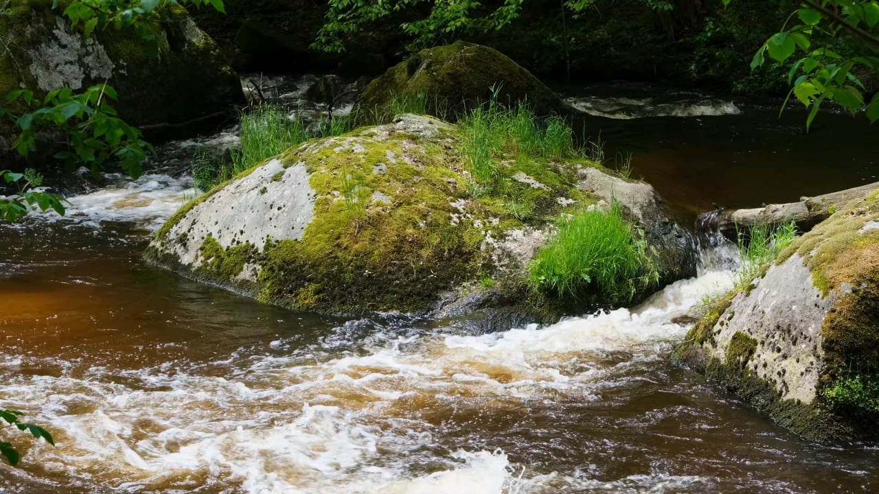 Más de 10 000 vídeos en HD y 4K gratis de Agua Fluyendo y Agua - Pixabay