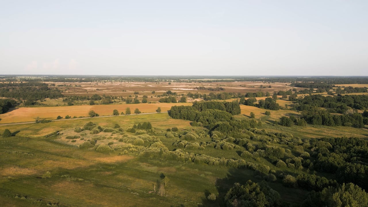 Farmland, Plot, Trees. Free Stock Video - Pixabay