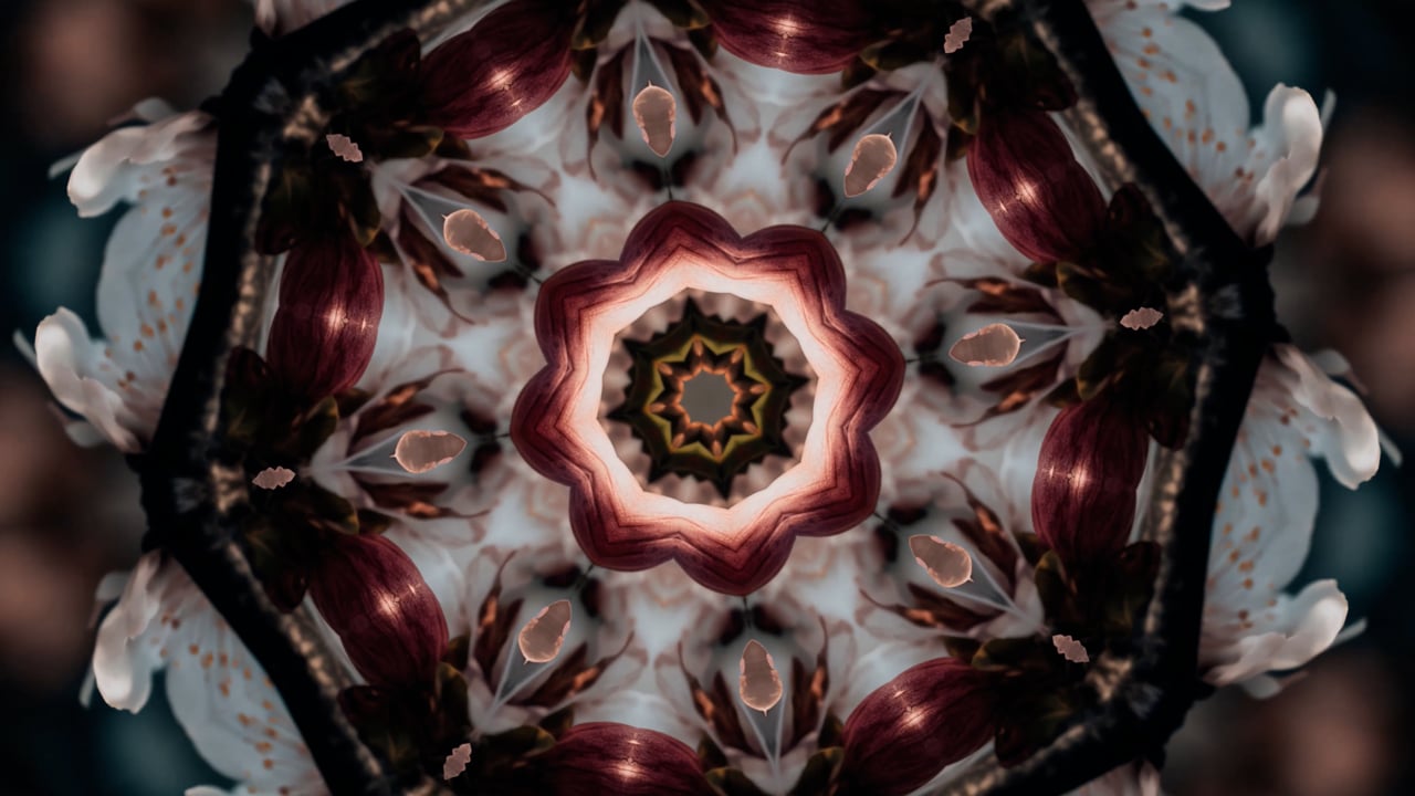 Kaleidoscope, Mandala, Pattern. Free Stock Video - Pixabay