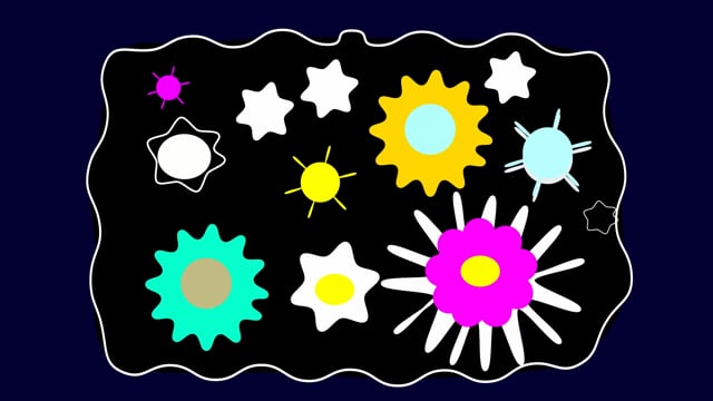 Flowers, Frame, Rotation. Free Stock Video - Pixabay