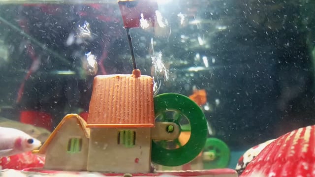 Underwater, Hut, Wheel. Free Stock Video - Pixabay