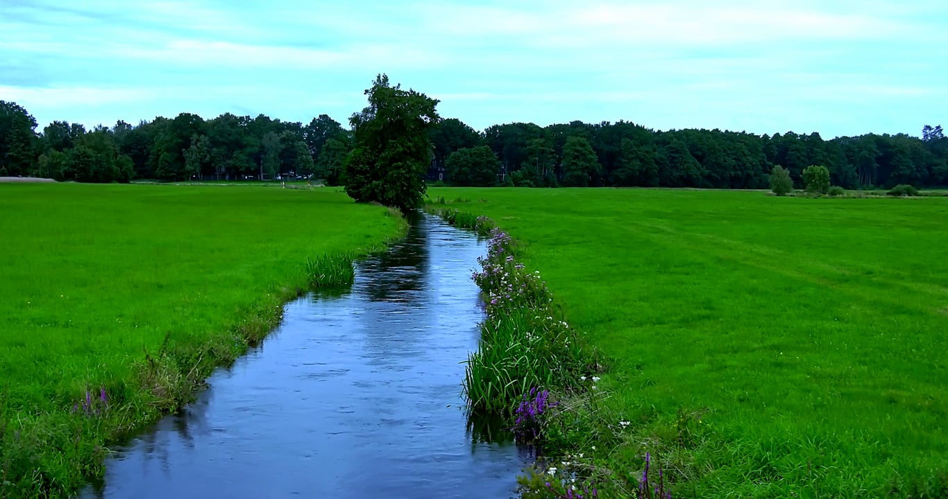 Flow, Delme, Watercourse. Free Stock Video - Pixabay