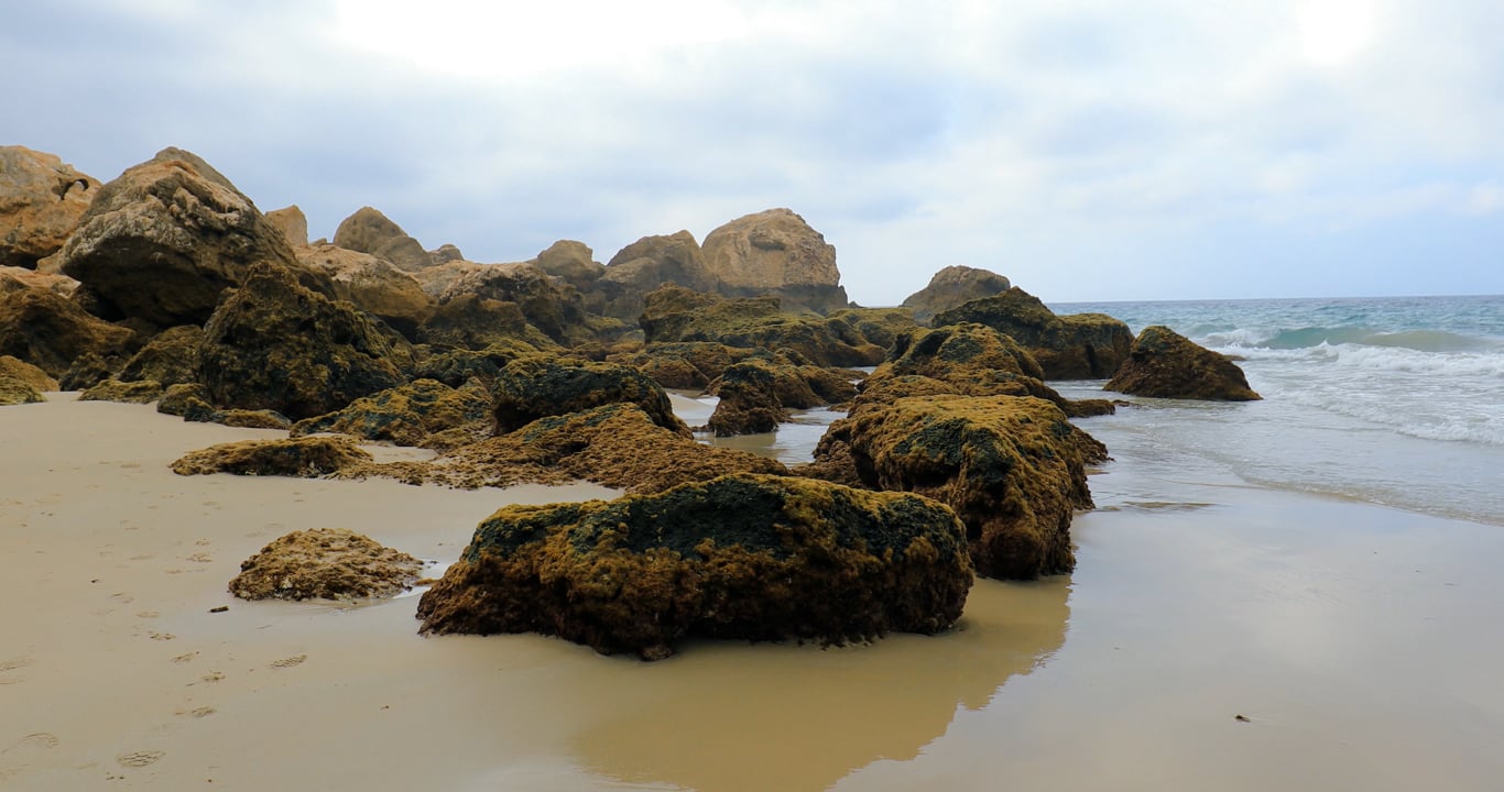 Playa Rocas Costa - Free video on Pixabay - Pixabay