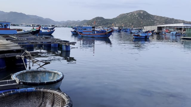 Boats, Sea, Country. Free Stock Video - Pixabay