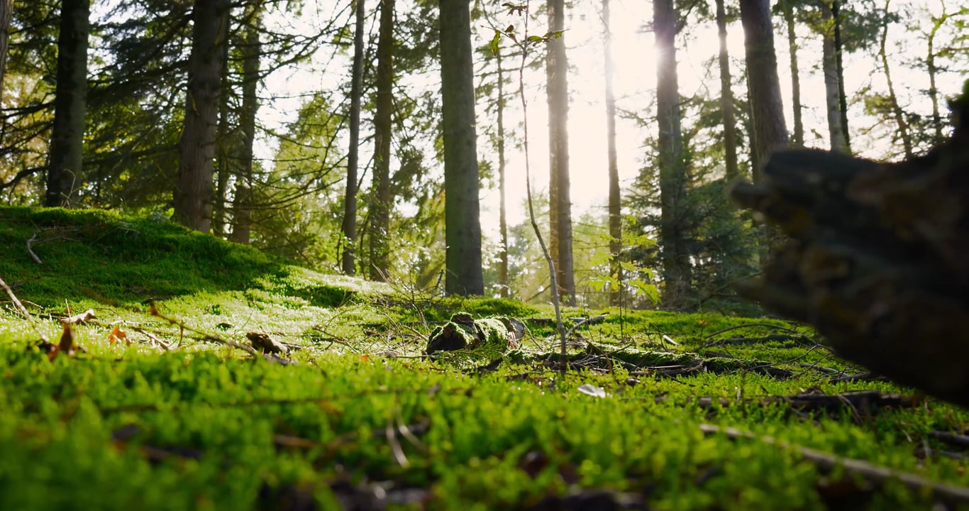 Desktop Background 4K Videos: Download 14,960+ Free 4K & HD Stock Footage Clips - Pixabay