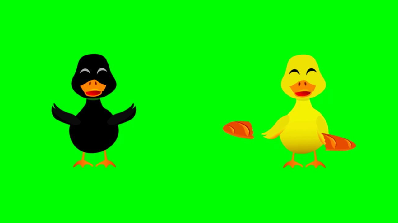Ducks, Bread, Cartoon. Free Stock Video - Pixabay