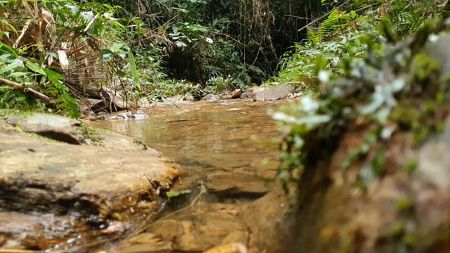 Country, Heating, Stream. Free Stock Video - Pixabay