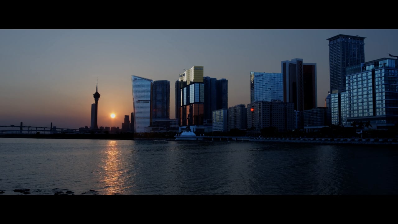 Макау Videos: Download 4+ Free 4K & HD Stock Footage Clips - Pixabay