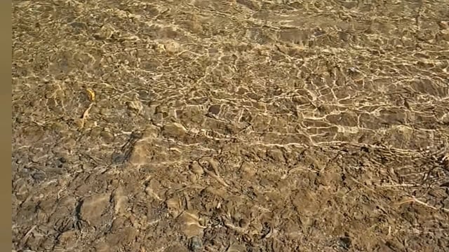River, Water, Stream. Free Stock Video - Pixabay