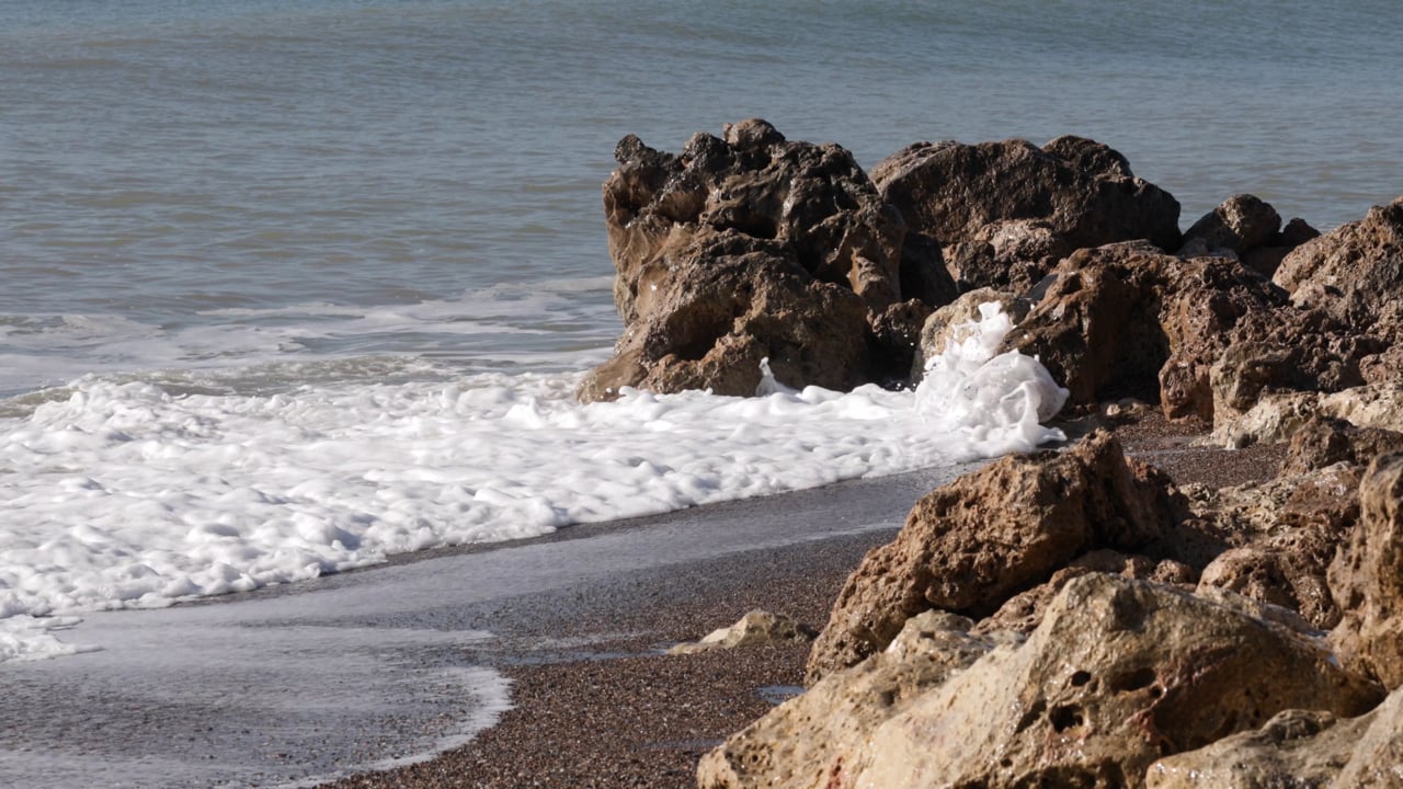 Más de 6 000 vídeos en HD y 4K gratis de Orilla Playa y Playa - Pixabay
