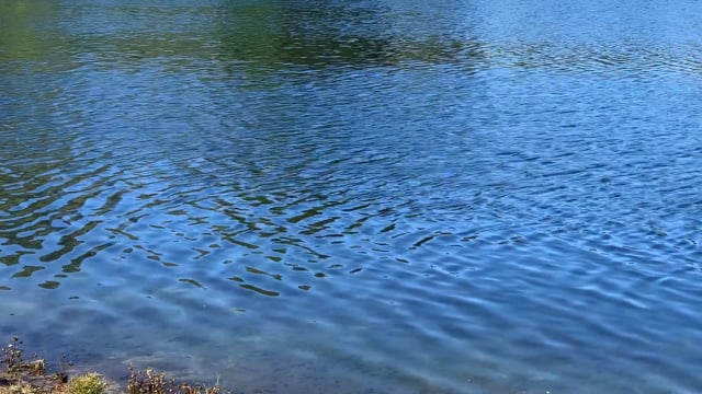 Lake, Water, Nature. Free Stock Video - Pixabay