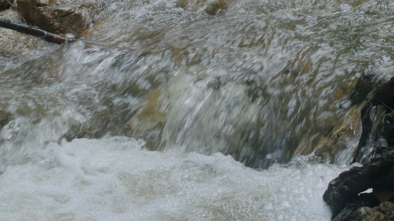 4K Quality Video Videos: Download 3,103+ Free 4K & HD Stock Footage Clips - Pixabay