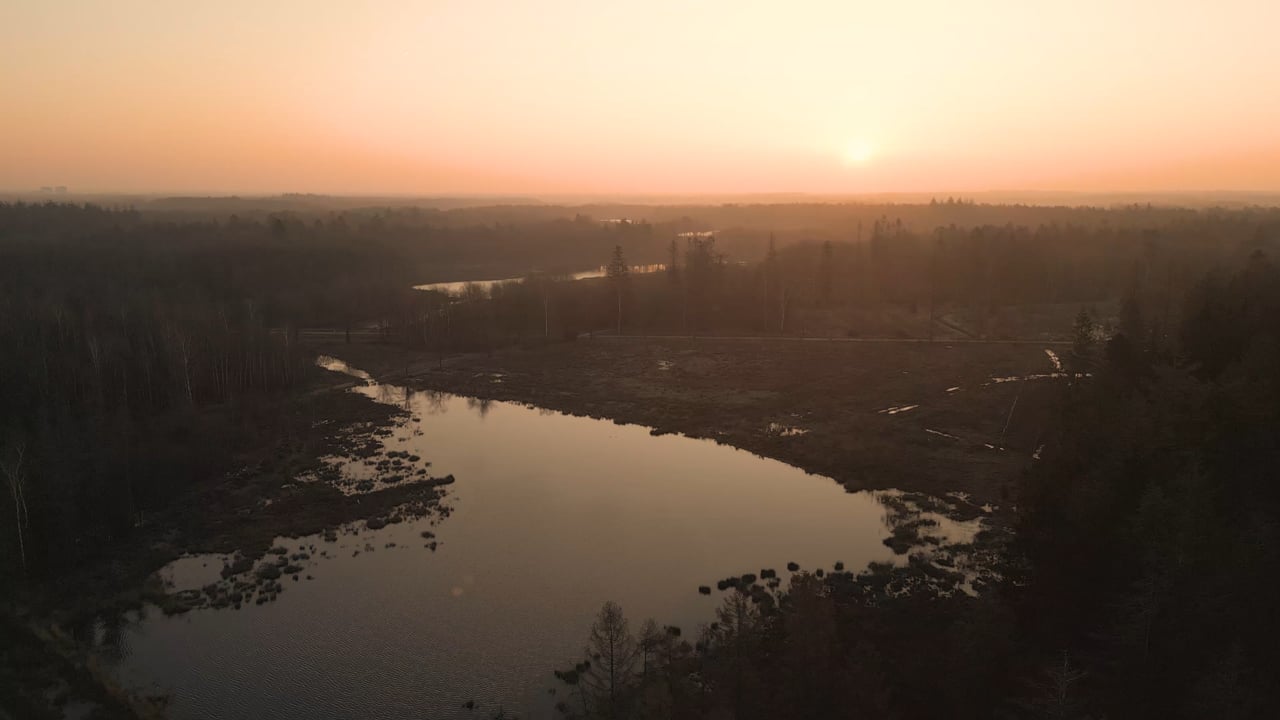 Page 6 - 4K壁纸1920X1080自然 Videos: Download 32,657+ Free 4K & HD Stock Footage Clips - Pixabay