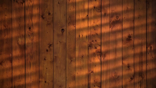 Sun Spots, Sunlight, Sun Stains. Free Stock Video - Pixabay