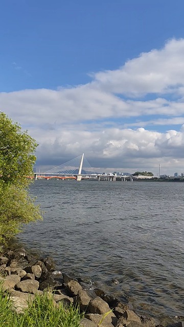 Nature, Landscape, Han River. Free Stock Video - Pixabay