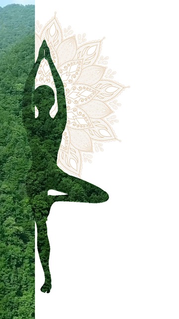Video Vertical Yoga Bienestar - Free video on Pixabay
