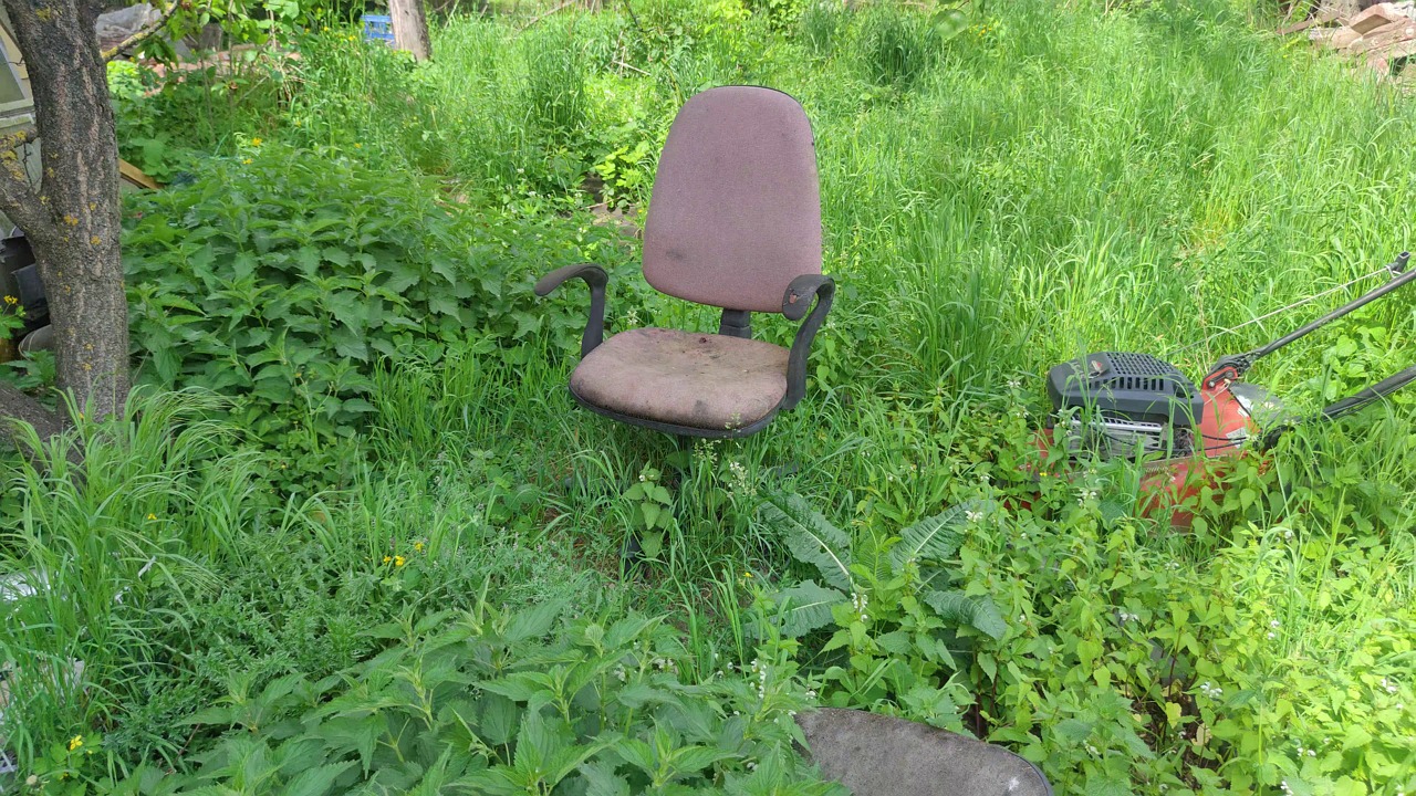Abandoned Chair, Overgrown Grass, Wasteland. Free Stock Video - Pixabay
