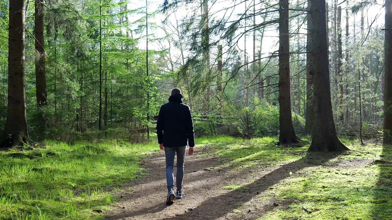 Man Walking Alone Free Stock Video Pixabay Man Walking Alone Free Stock Video Pixabay