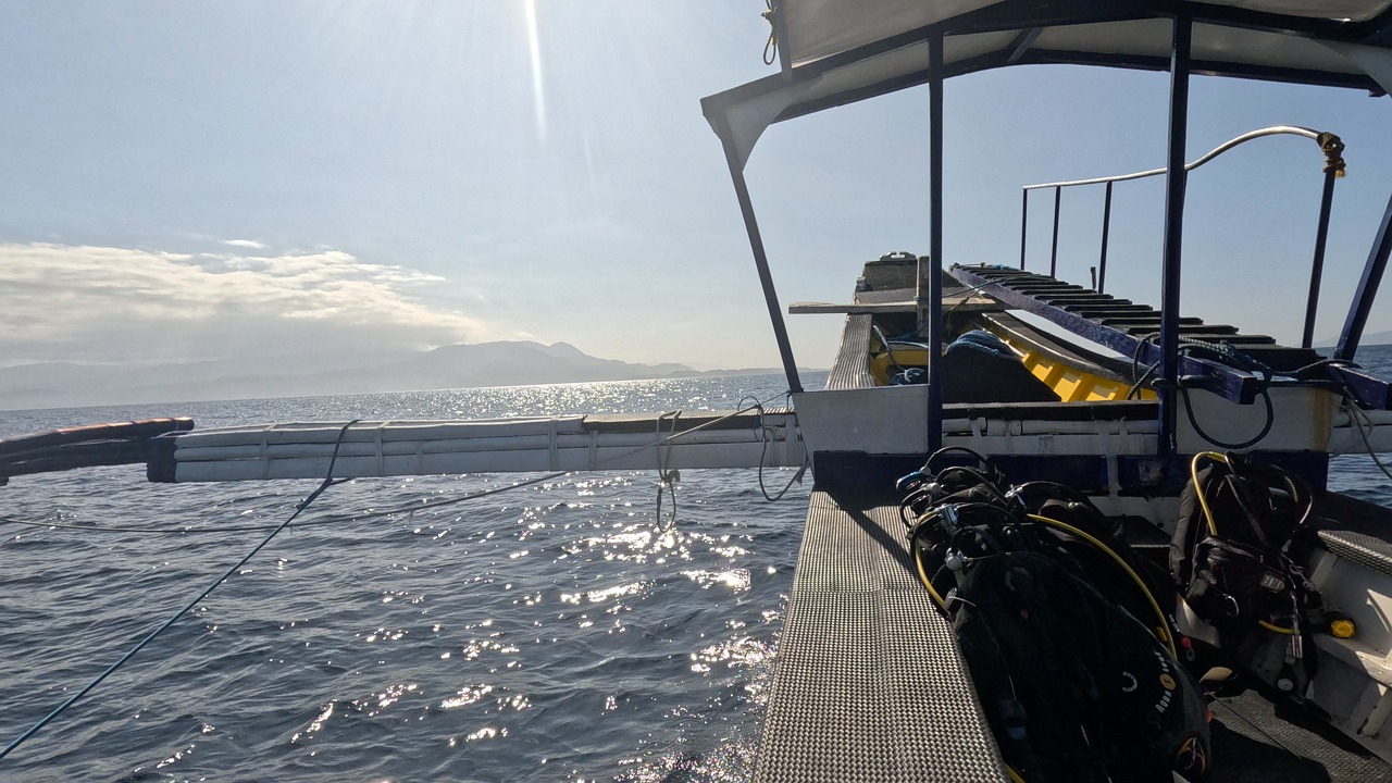 Fishing Boat, Scuba Diving, Diving. Free Stock Video - Pixabay