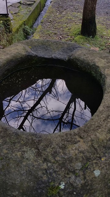 Clouds, Tree Branches, Reflection. Free Stock Video - Pixabay